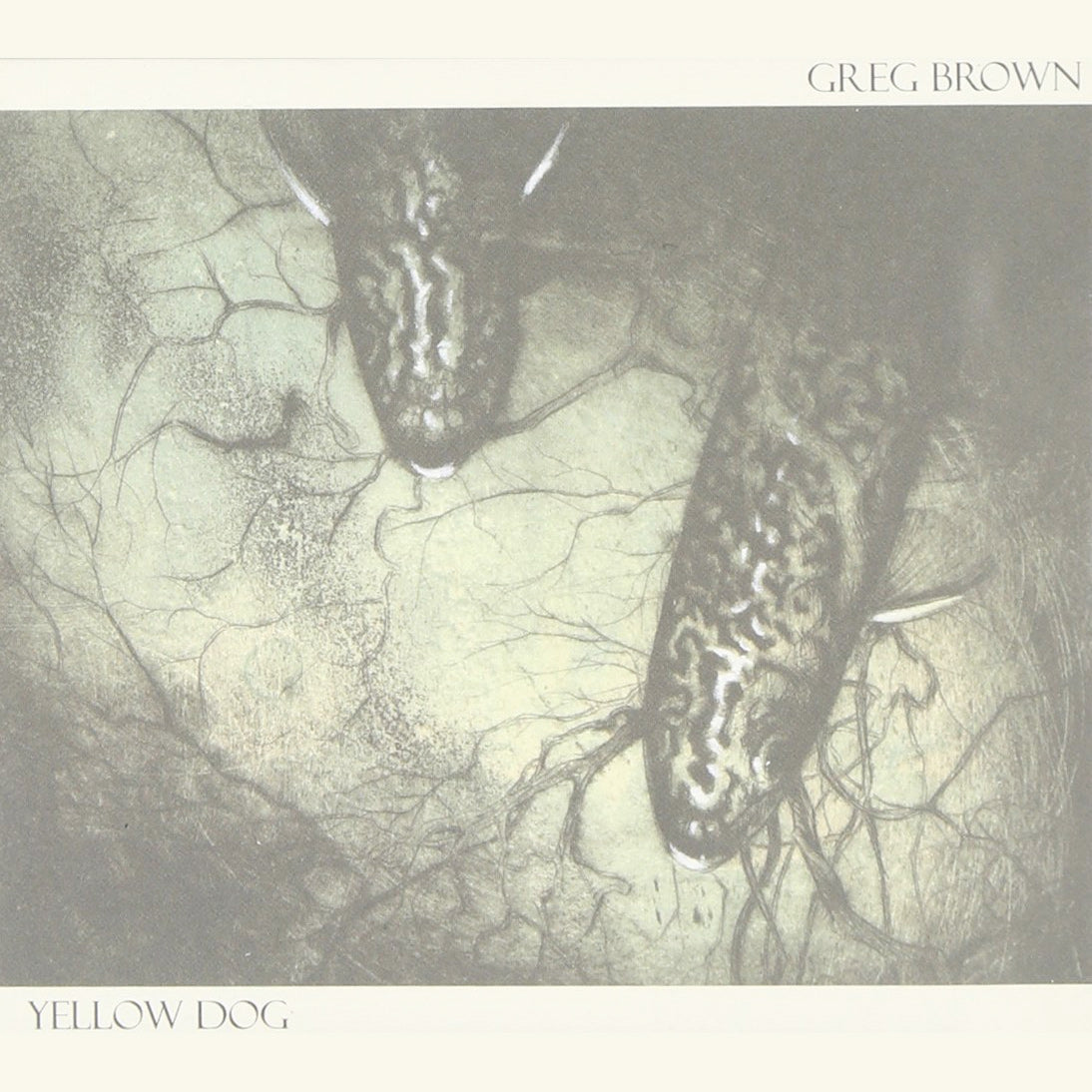 Greg Brown - Yellow Dog CD – Earthwork Music